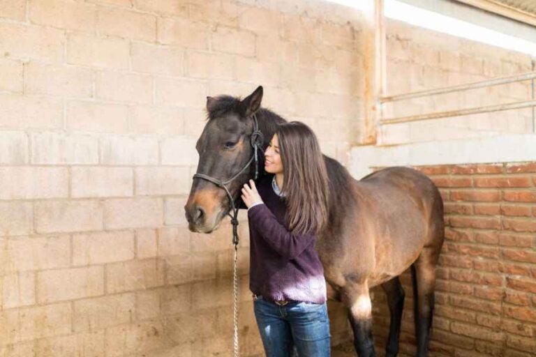 How To Tame A WILD Horse! The Simplest Way! – Urbaki Pets