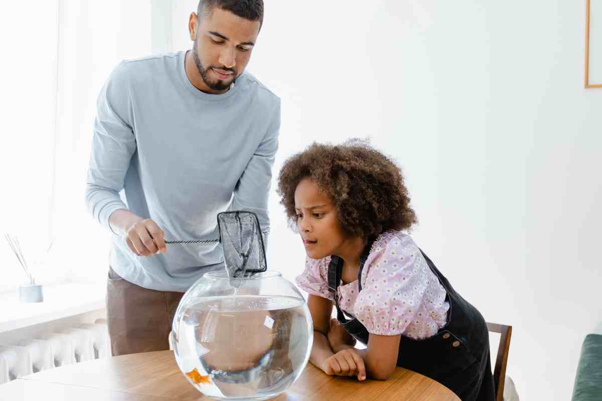 10 Things Fish Keepers Should NEVER DO – Urbaki Pets