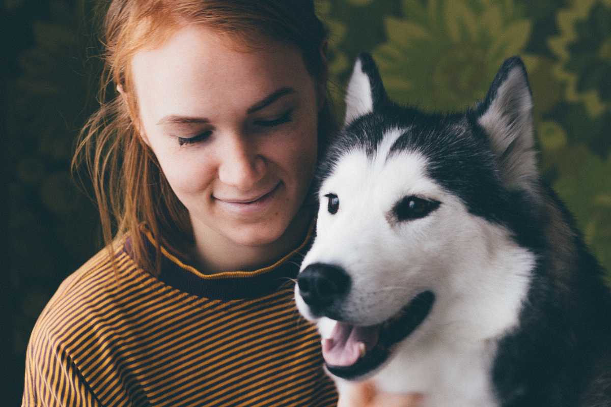 Mysteries of the Siberian Husky: Surprising Facts You Never Knew ...