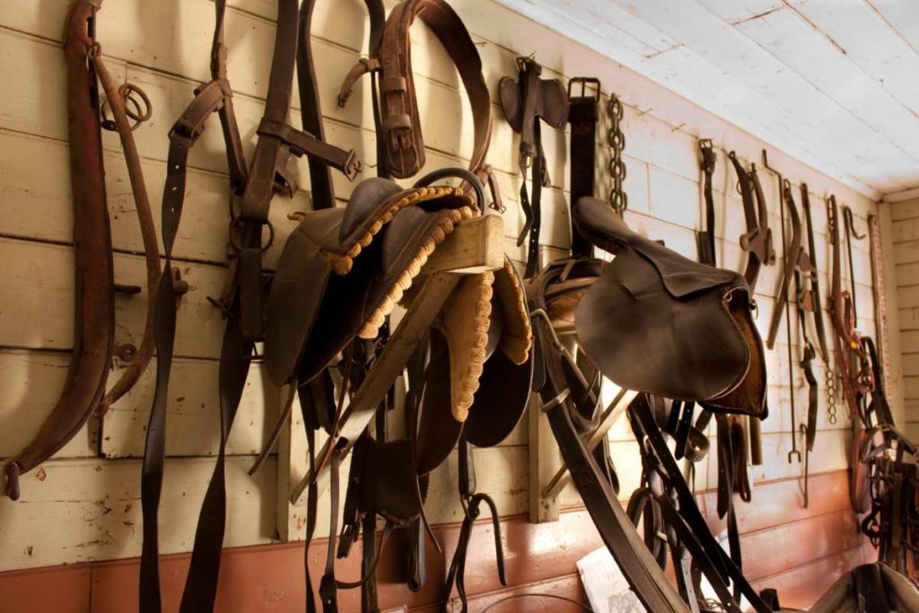 15 Equestrian Life Hacks to Help You and Your Horse Thrive – Urbaki Pets