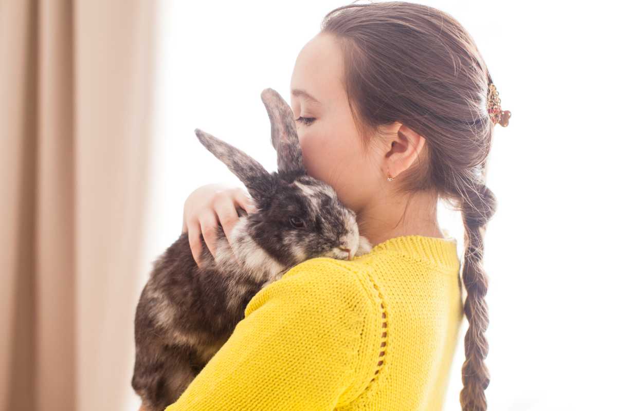 Bunny Besties: How to Get Your Rabbit to Like You – Urbaki Pets