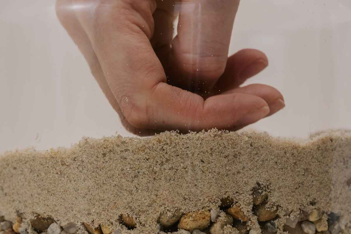 Teach Your Hamster to Potty in the Box: A Guide to Sandboxing – Urbaki Pets