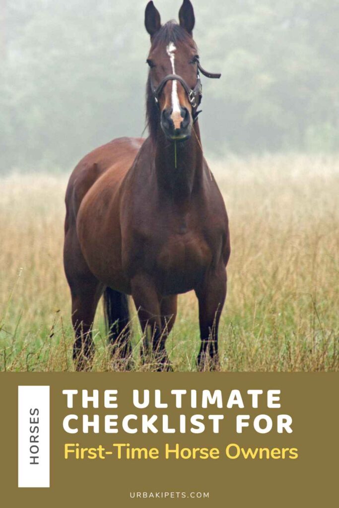 The Ultimate Checklist for First-Time Horse Owners – Urbaki Pets