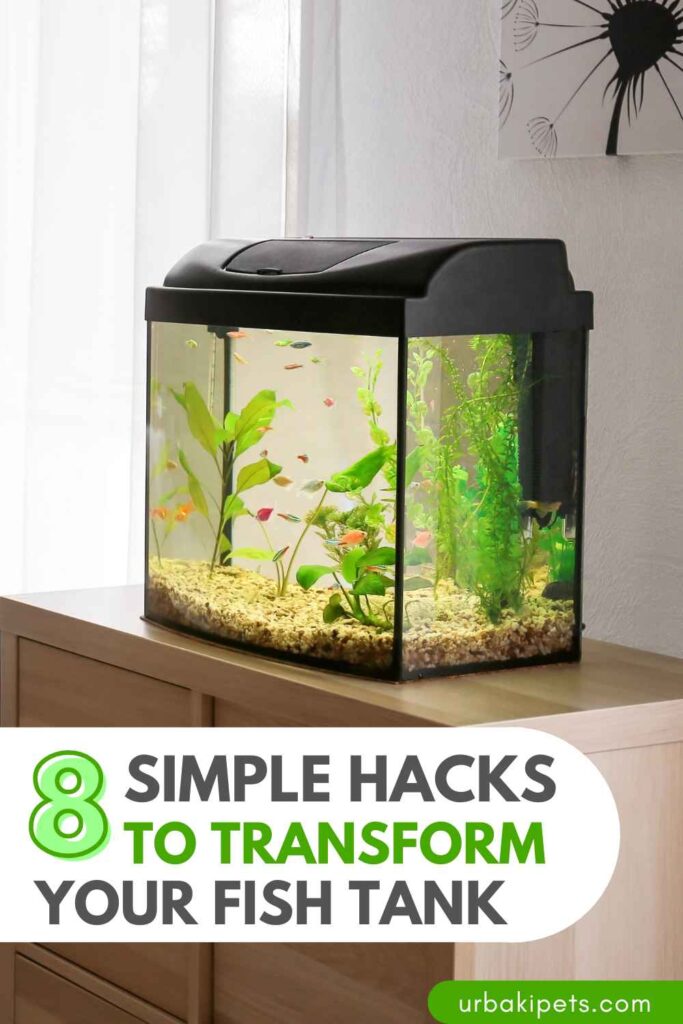 Aquatic Oasis Unveiled: 8 Simple Hacks to Transform Your Fish Tank ...