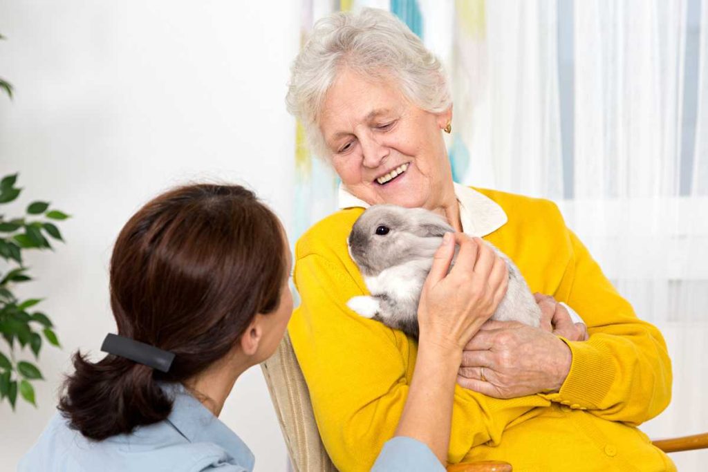 Bunny Basics: A Catchy Guide for First-Time Rabbit Owners – Urbaki Pets