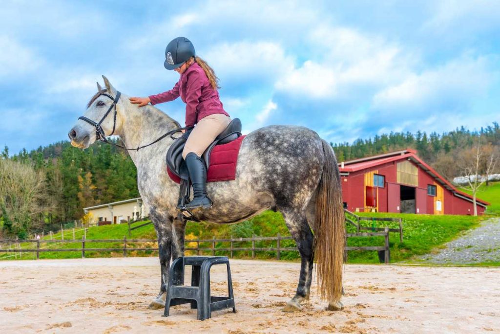 Horse Sense Safety: Top Tips for Staying Safe Around Your Equine ...