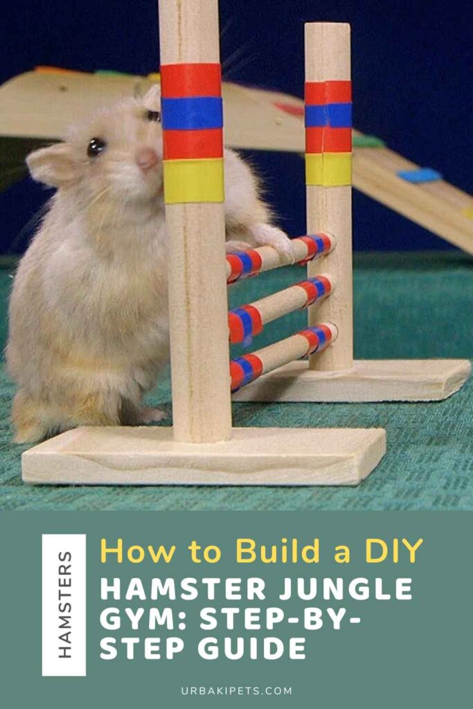 How to Build a DIY Hamster Jungle Gym: Step-by-Step Guide – Urbaki Pets