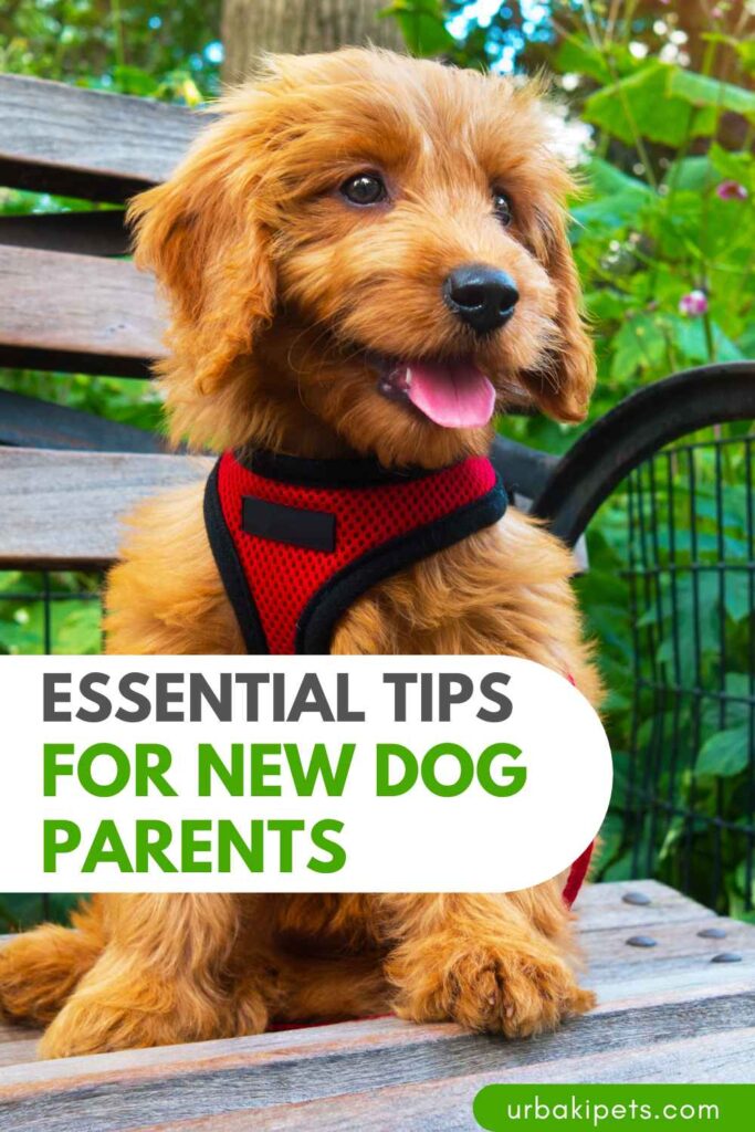 Puppy Prep 101: Essential Tips for New Dog Parents – Urbaki Pets