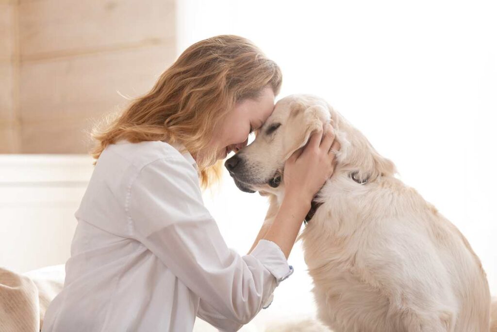 How to Pet A Dog And Body Handling Techniques – Urbaki Pets