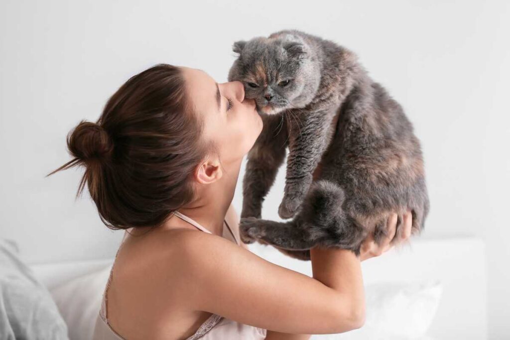 The Right Way To Scold A Cat – Urbaki Pets