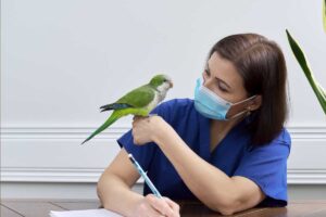 5 Critical Signs Your Pet Bird Needs Immediate Vet Care – Urbaki Pets