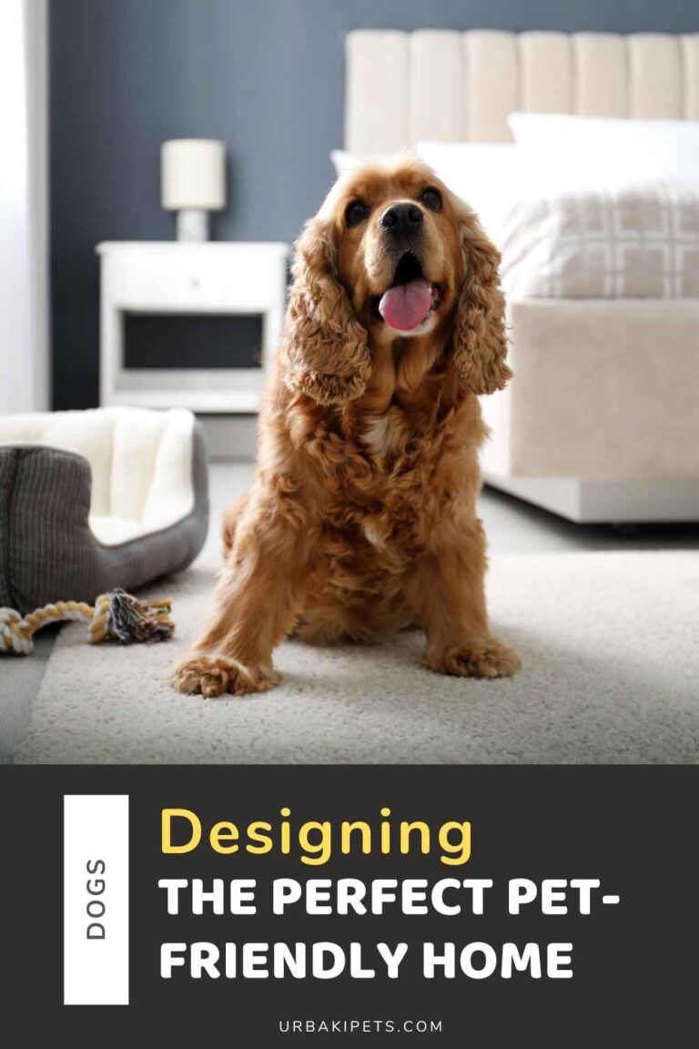 Must-know tips! Designing The Perfect Pet-friendly Home – Urbaki Pets