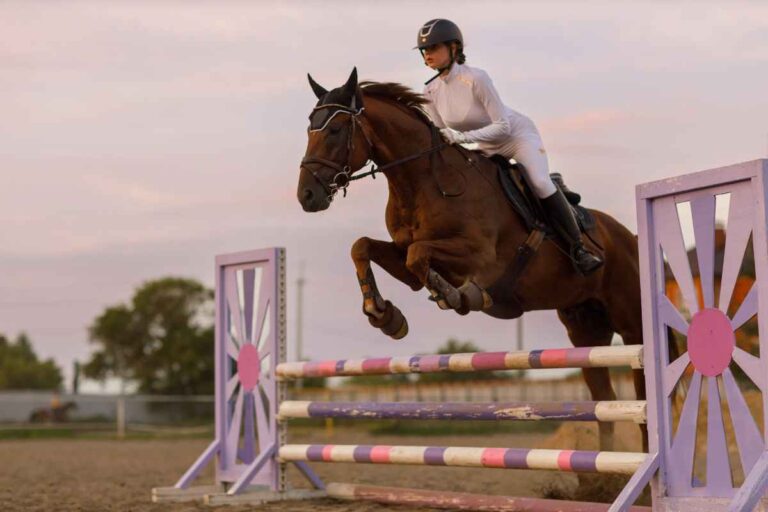 The Secret to Training Horses with Clicker Techniques for Beginners – Urbaki Pets