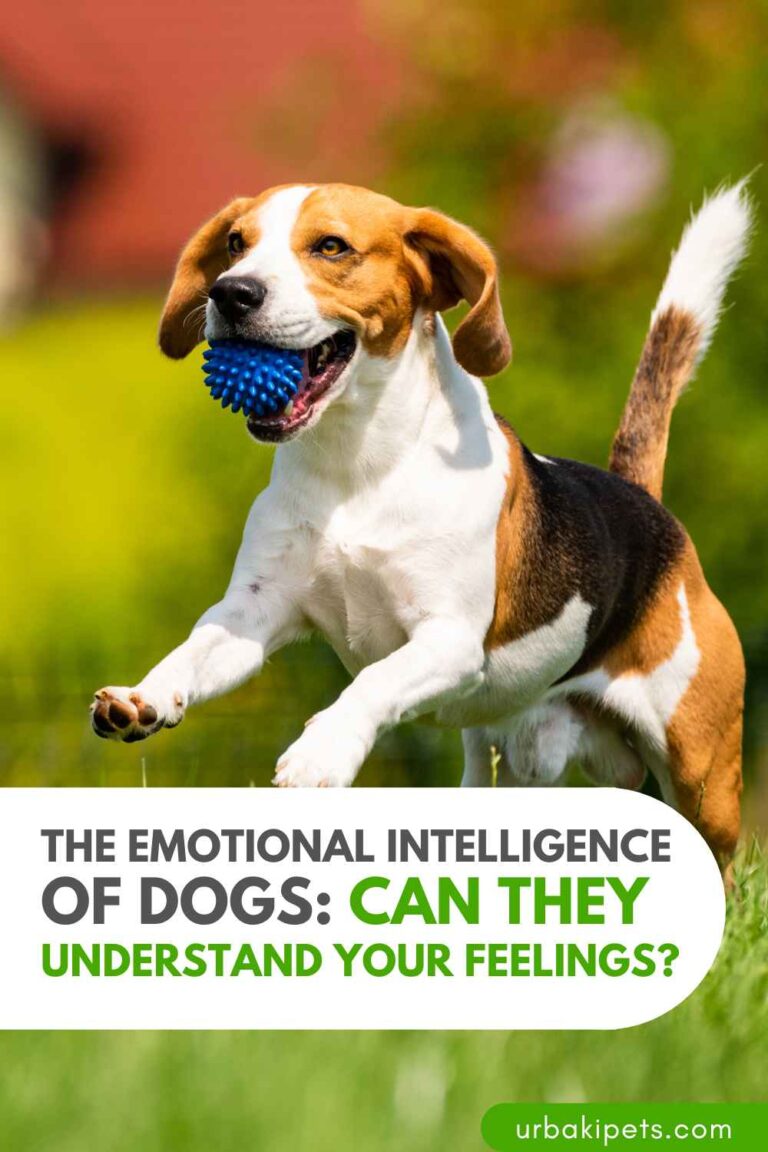 The Emotional Intelligence of Dogs: Can They Understand Your Feelings ...