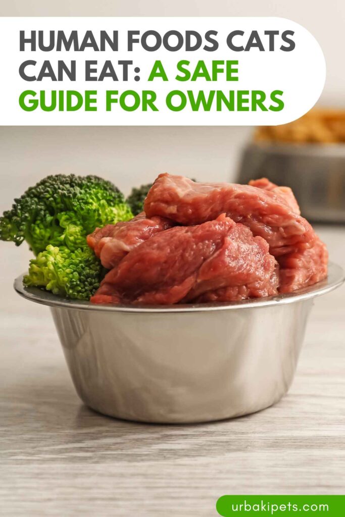 Human Foods Cats Can Eat: A Safe Guide for Owners – Urbaki Pets