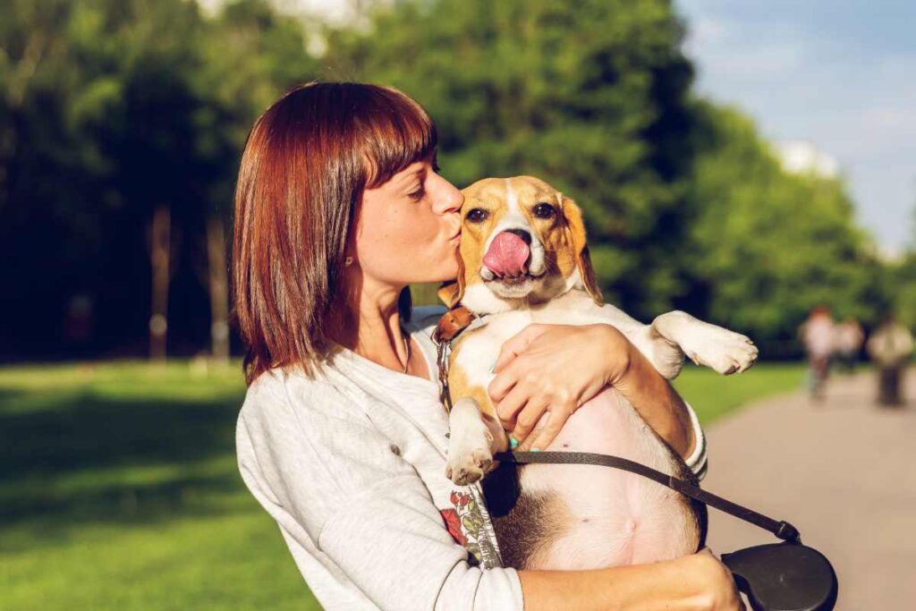 What your Dog’s Facial Expressions Say About his Emotional State ...