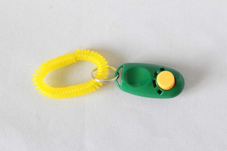 Clicker Training for Rabbits: Yes, It’s a Thing (And It Works ...