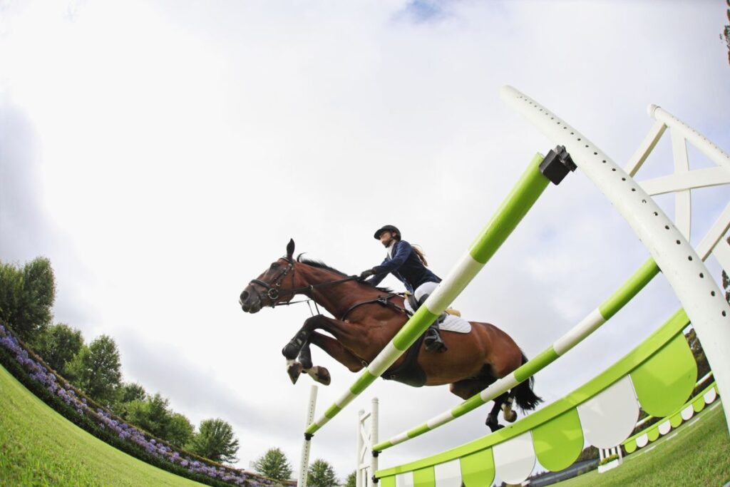 Preparing Your Horse for Jumping Competitions: Essential Training Guide ...