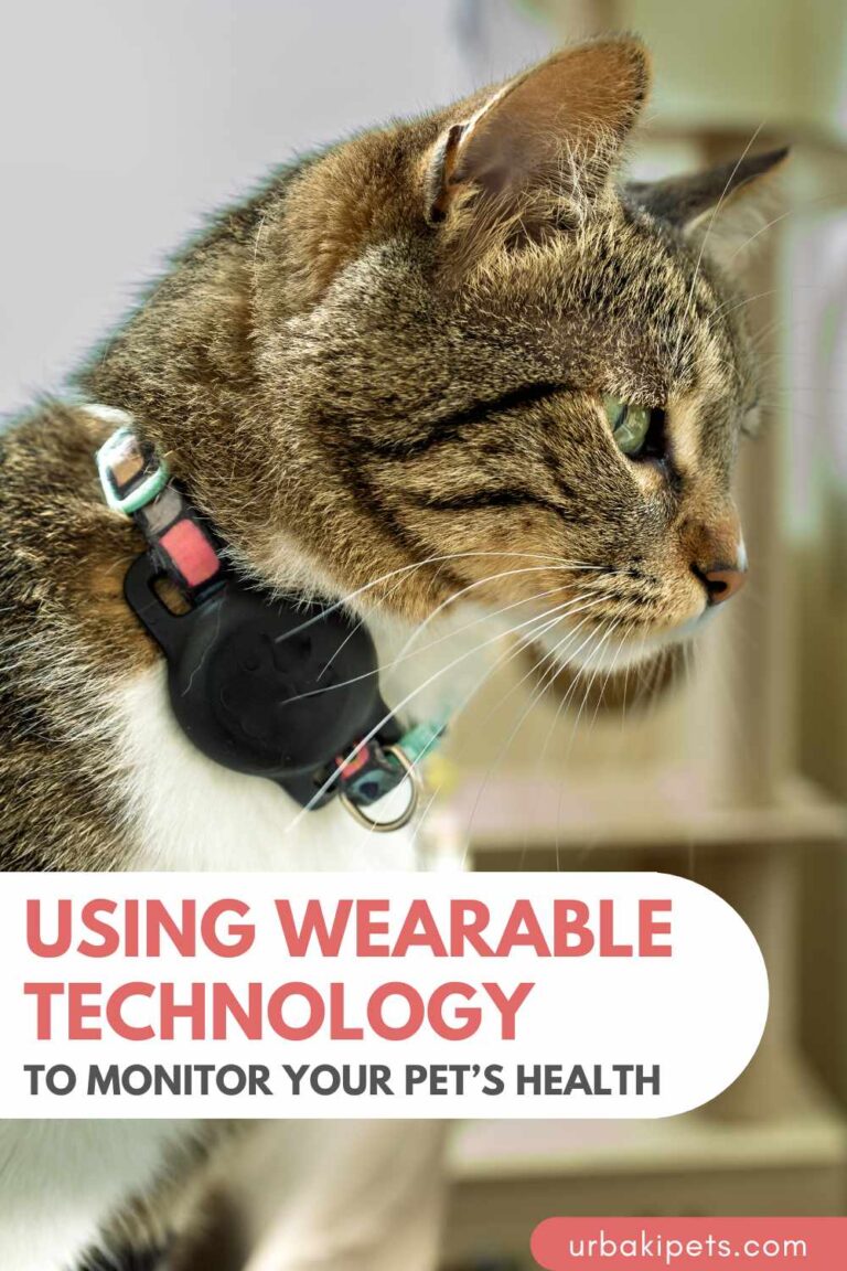 Using Wearable Technology to Monitor Your Pet’s Health – Urbaki Pets