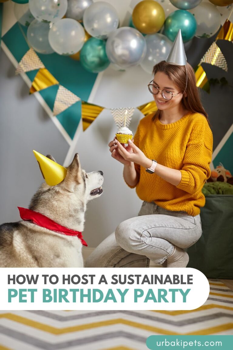 How to Host a Sustainable Pet Birthday Party – Urbaki Pets