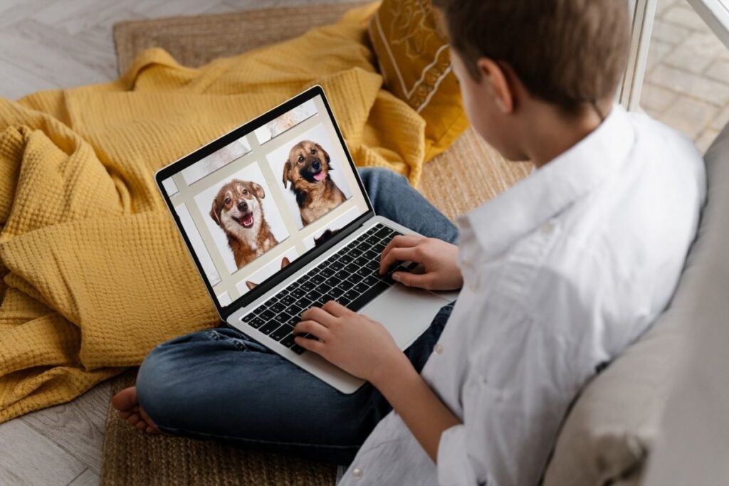 The Future of Pet Adoption: Virtual and AI-Powered Matchmaking – Urbaki ...
