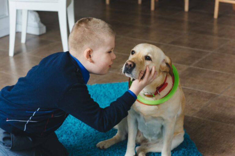 The Role of Pets in Supporting Children with Special Needs – Urbaki Pets