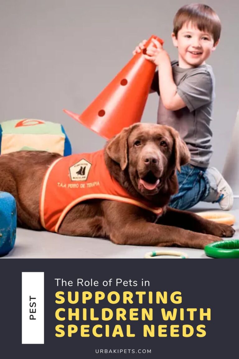 The Role of Pets in Supporting Children with Special Needs – Urbaki Pets